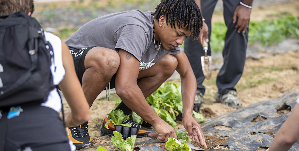Environmental Science Minor | Bridgewater College